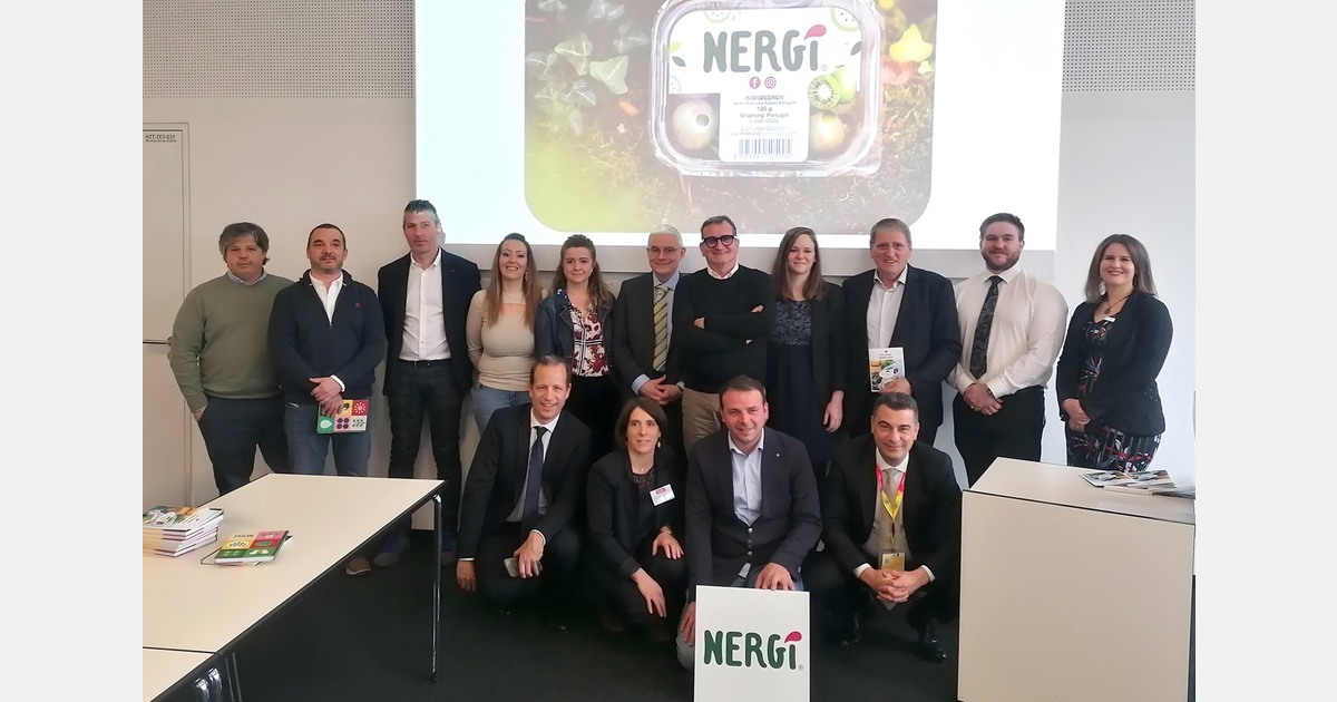Nergi celebra su 20.º aniversario y presenta su nueva identidad visual