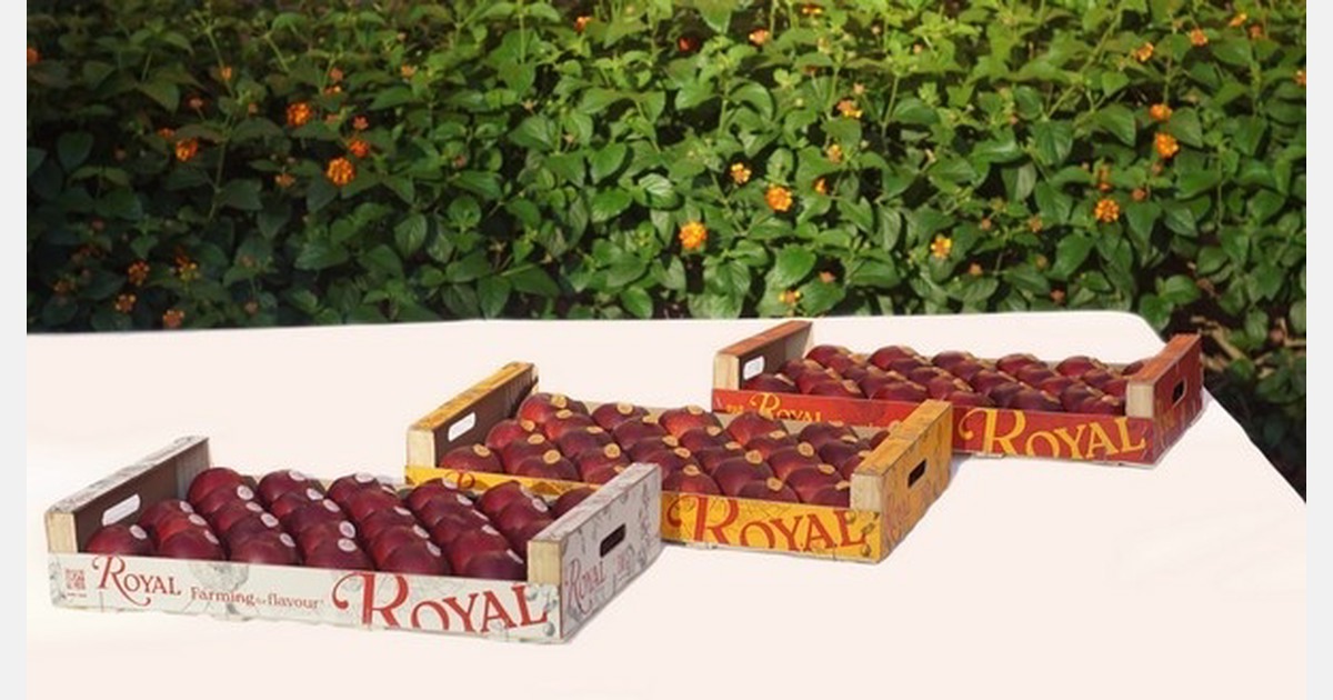 "Iniciamos la campaña de fruta de hueso con novedosos envases que ...