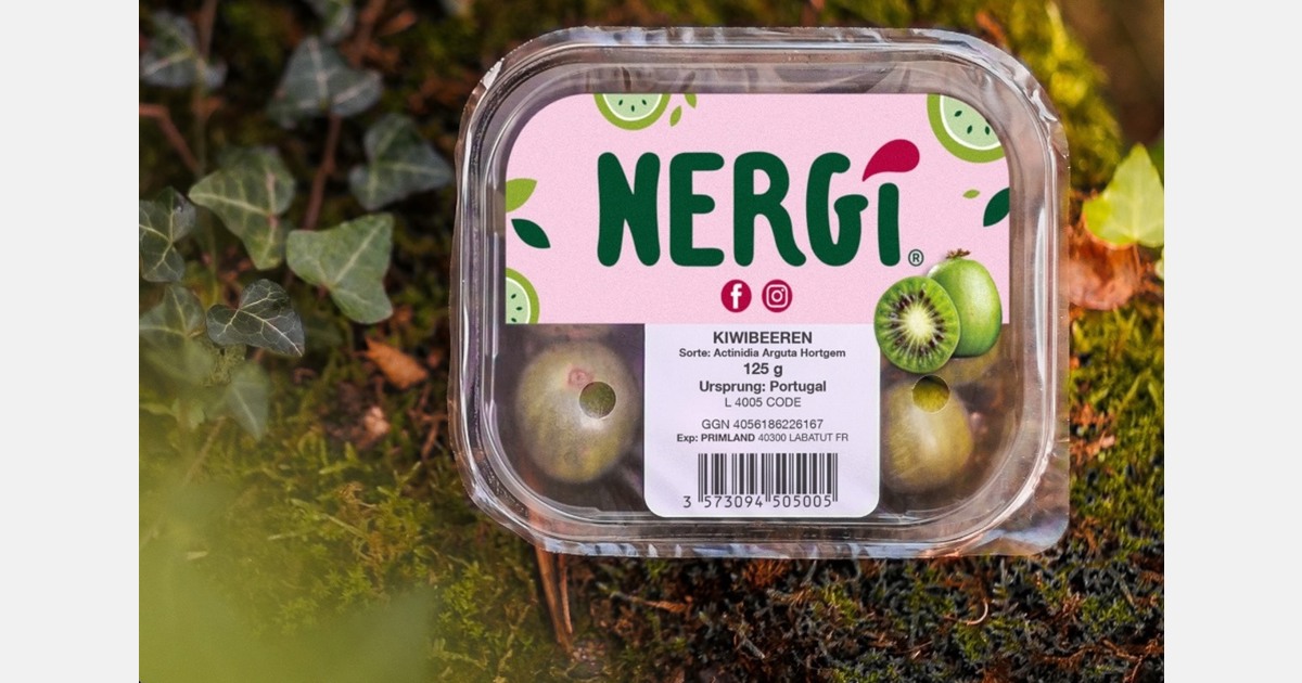 Nergi entra en la campaña 2025 con una nueva identidad visual