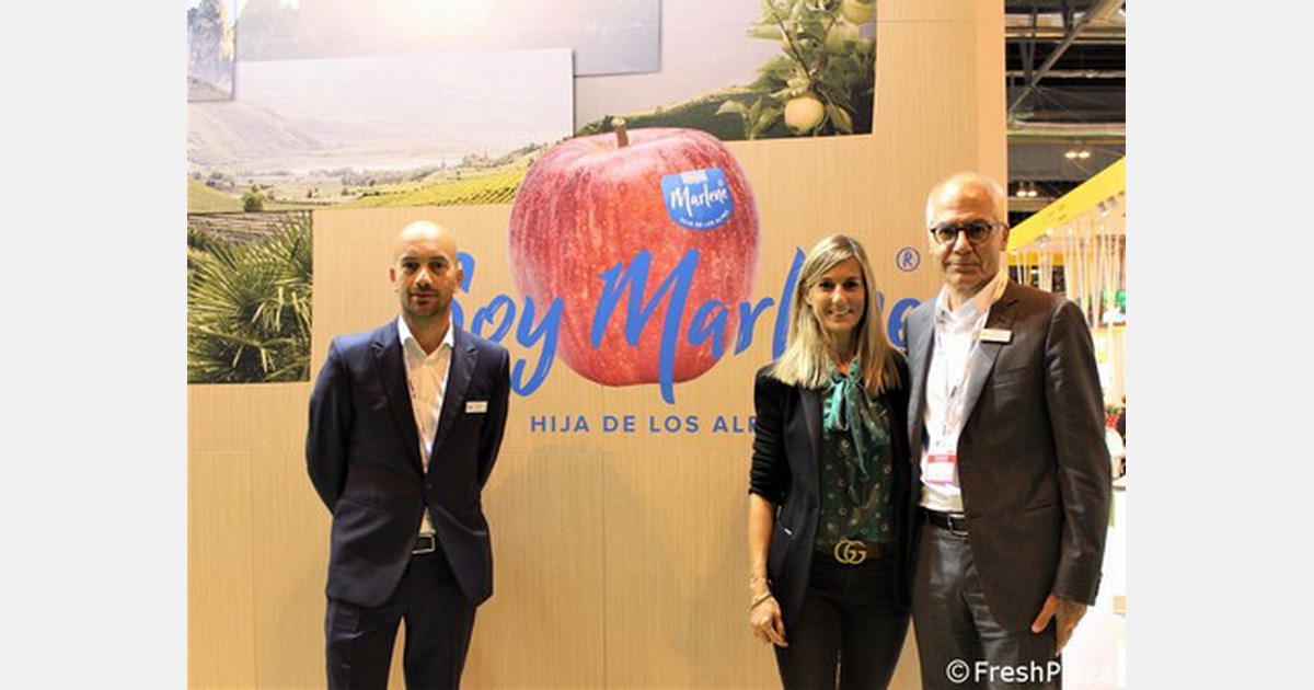 Consorcio VOG: Marlene cumple diez años en el mercado español