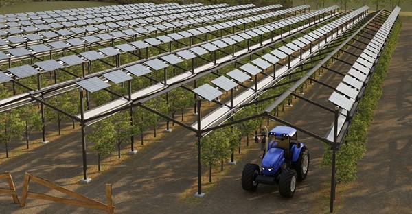 Sistemas innovadores de agrivoltaica en el sur de Italia