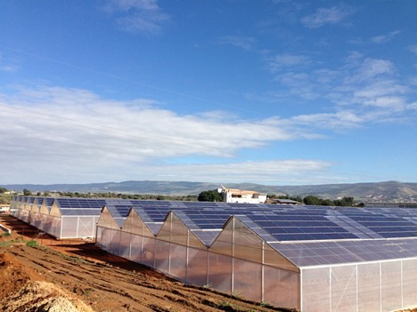 Combinando la fotovoltaica con la producción en invernadero