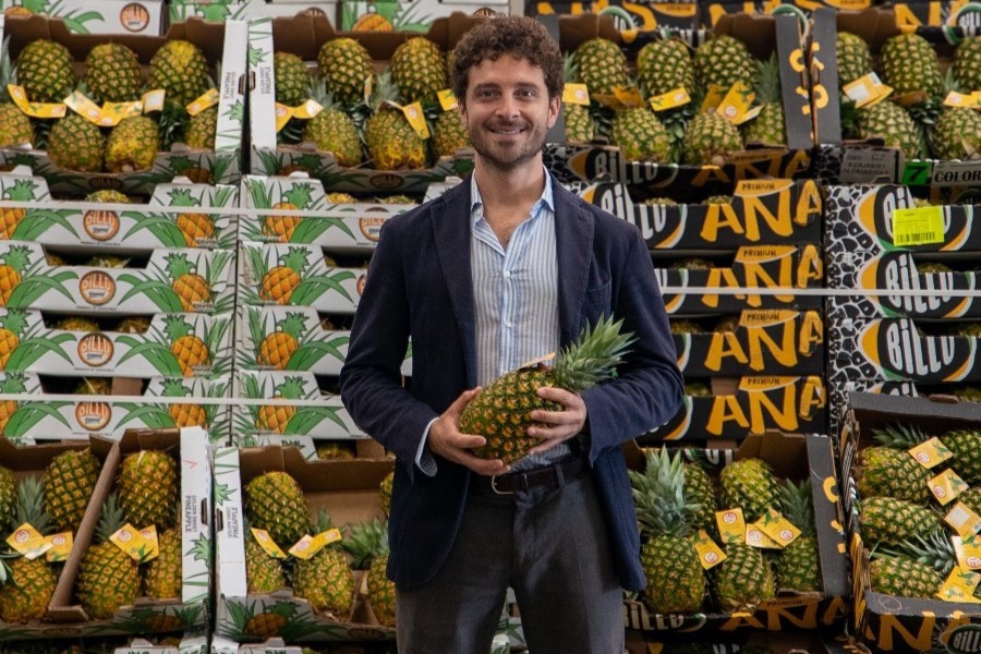 "El trabajo del importador de piñas ya no es fácil"