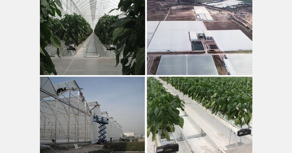 México: Geopónica prepara su próxima expansión