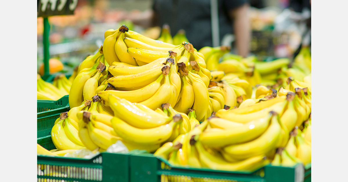 Los productores de banano siguen insistiendo a los supermercados ...