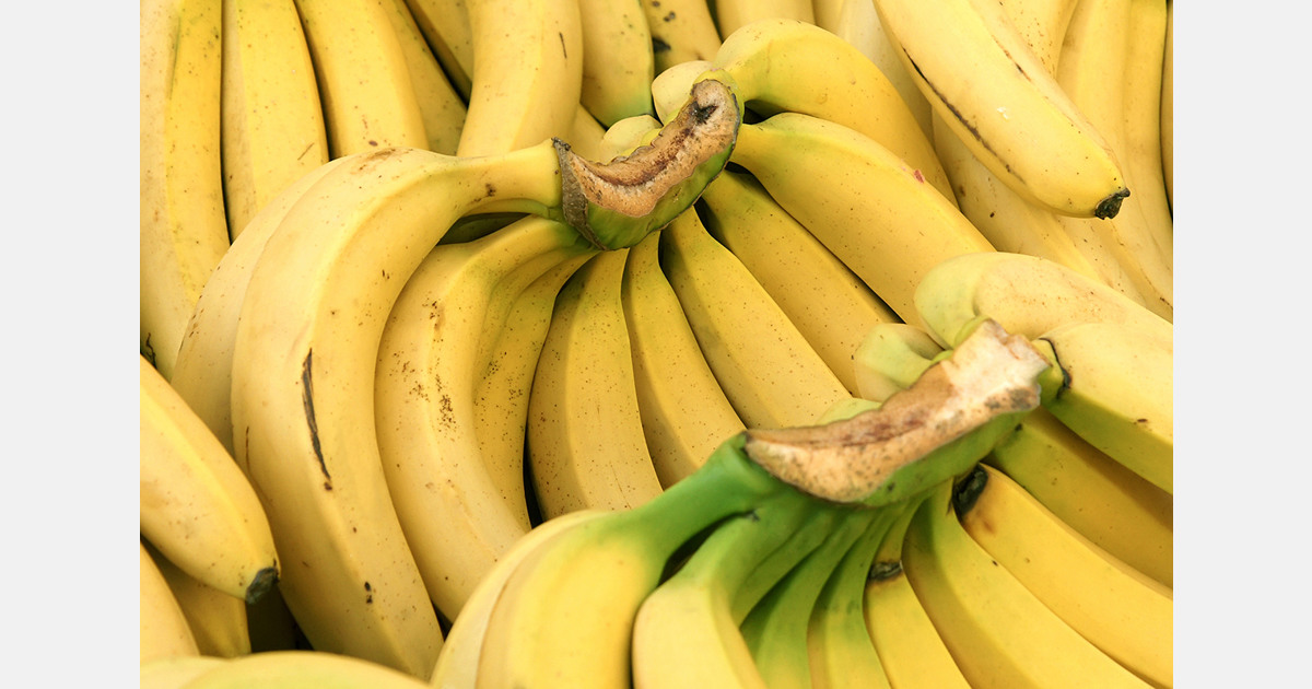 Colombia exportó el año pasado cerca de 900.000 toneladas de banano
