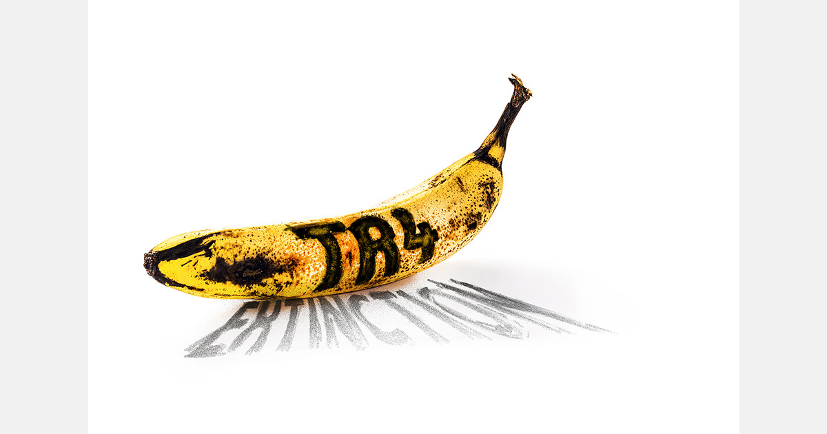 Nueva variedad de banano resistente al "Fusarium" llega a Ecuador