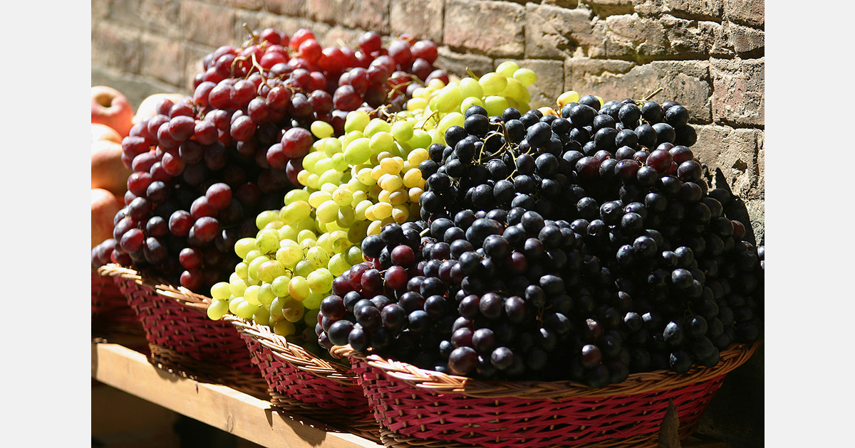 Publicado oficialmente el Systems Approach para la exportación de uva chilena a EE. UU.