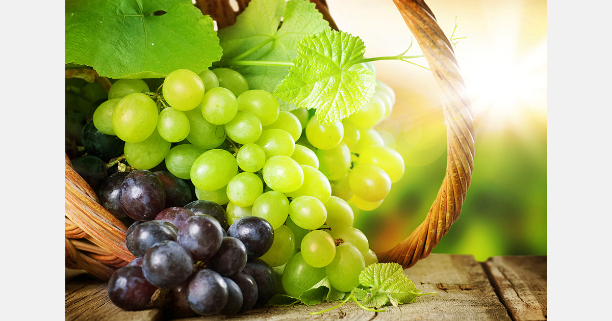 Perú se convierte en líder mundial de exportación de uva de mesa por ...