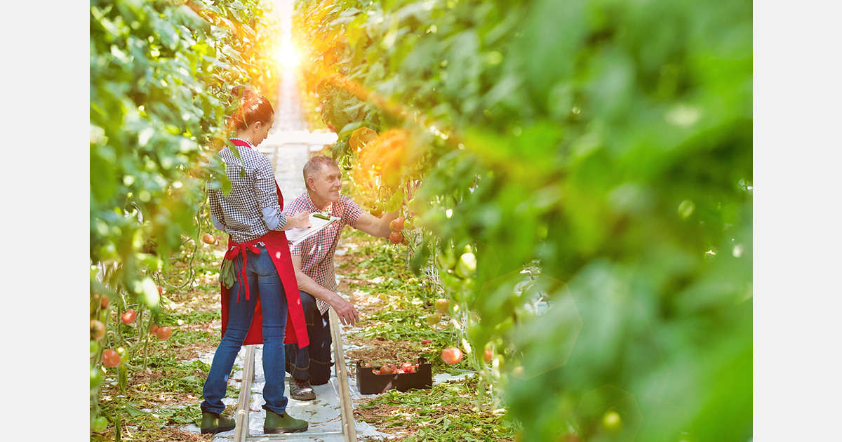 Costa Rica inaugura su primer invernadero climáticamente inteligente