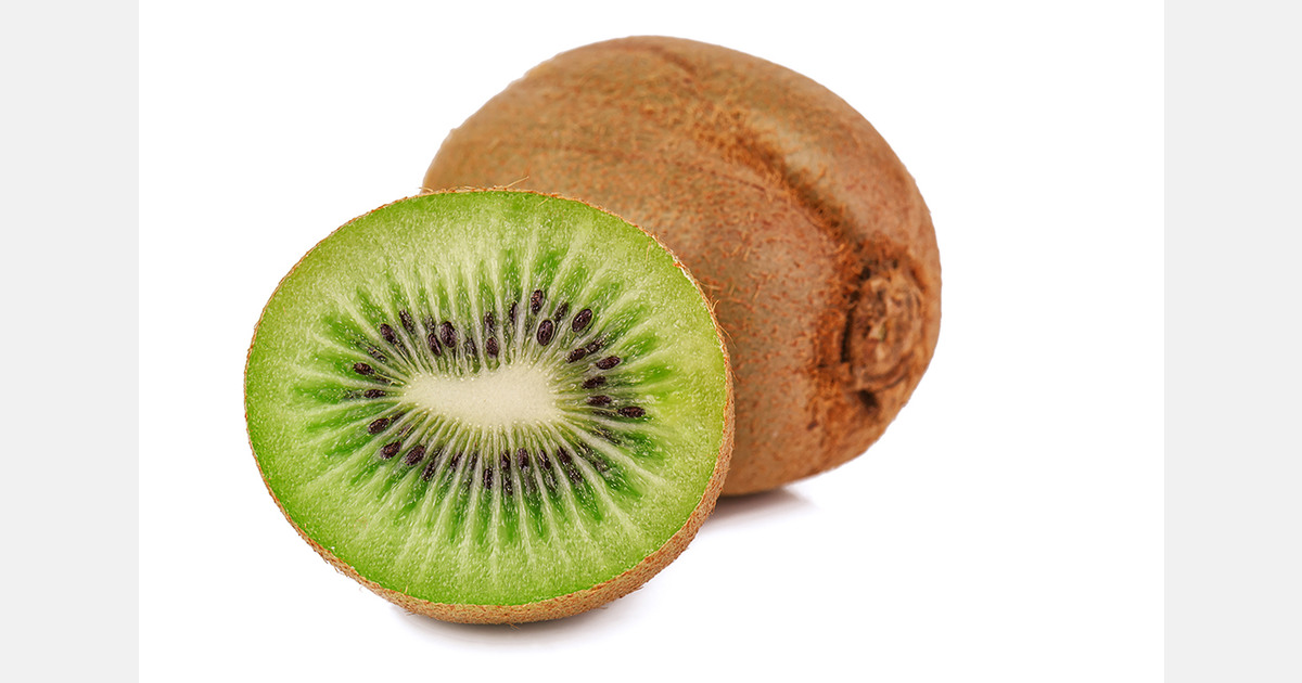 Campaña del kiwi chileno muestra alza en volúmenes de envío