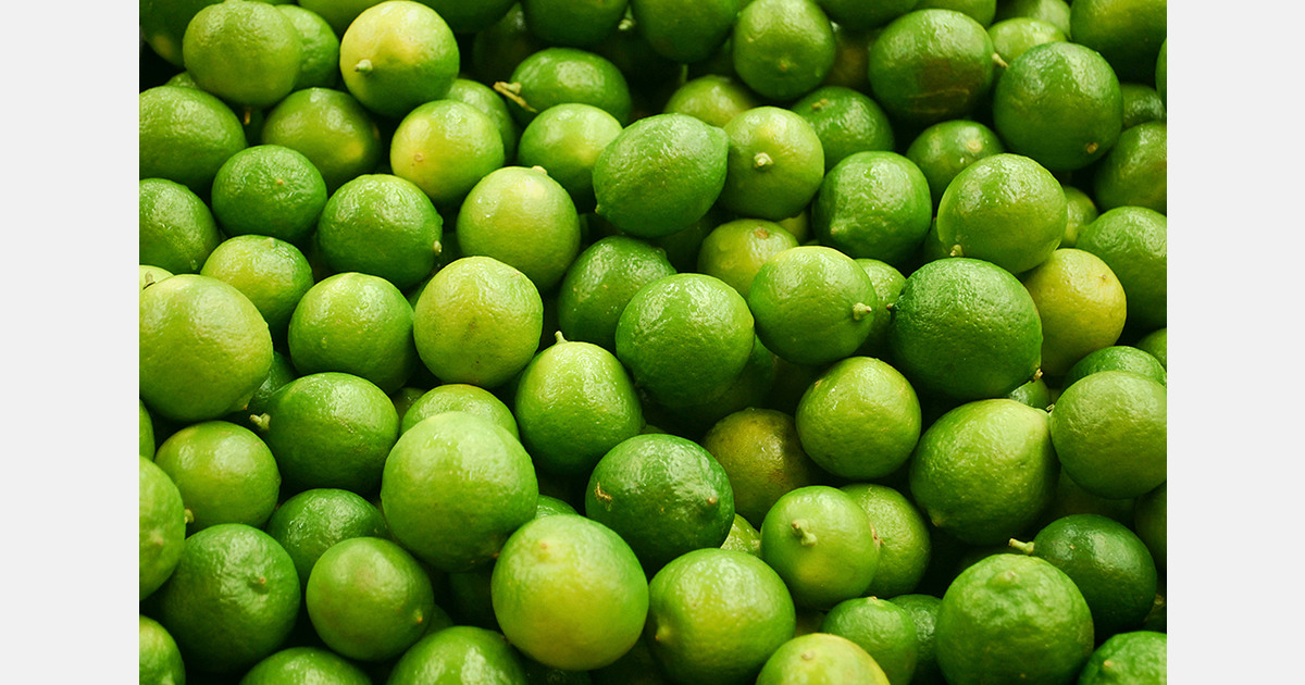 Crece un 9% la producción de limón en Michoacán