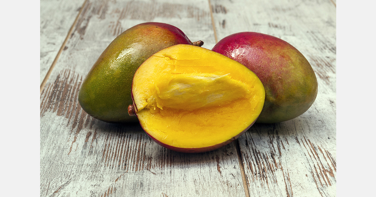 "Es necesario tomar acciones sobre la gestión poscosecha del mango"