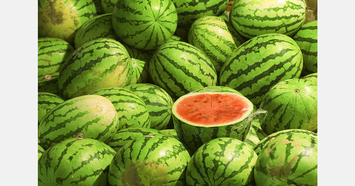 La sobreoferta de sandías en Rumanía lastra las ganancias de los ...