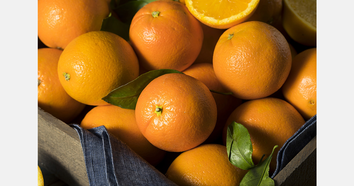 La sequía y las altas temperaturas reducen la estimación inicial de la ...