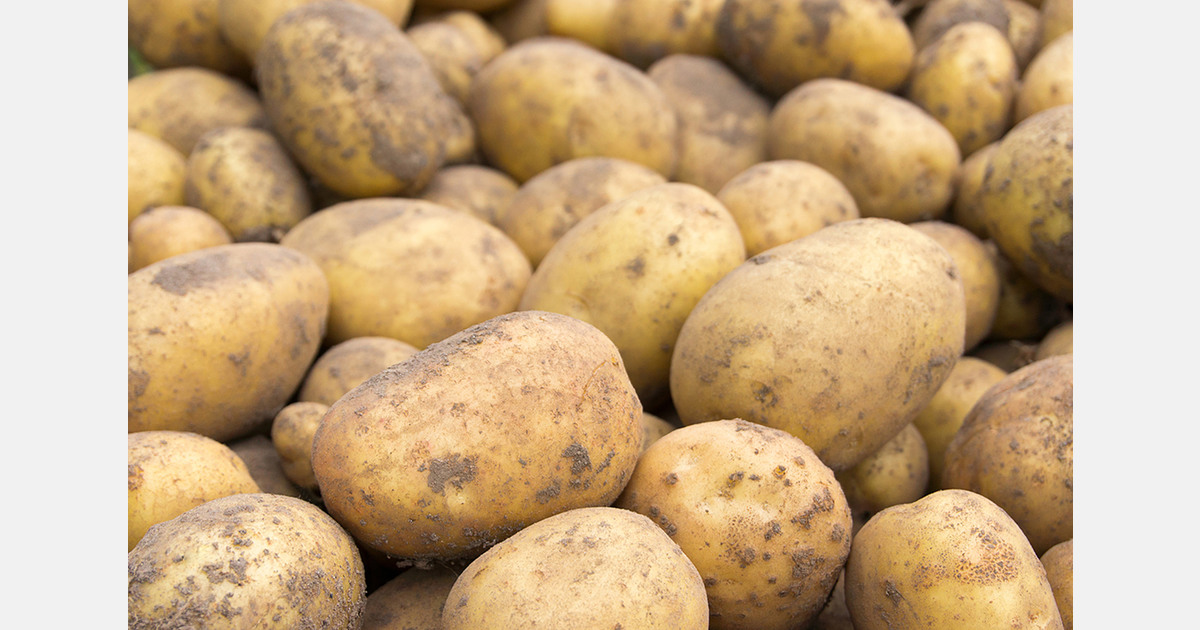 La patata fue el producto más importado por España en enero