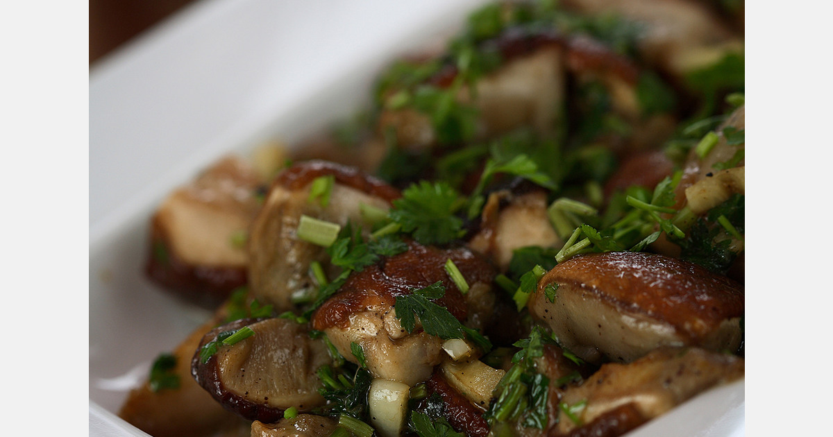 El hongo melena de león se abre paso en España