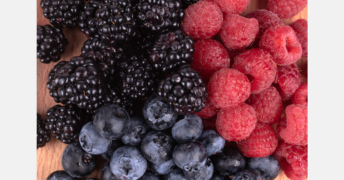 BerryWorld Iberia supera los 50 millones de euros en ventas tras su ...