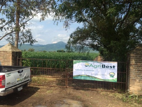 “El sistema AgriBest activa el metabolismo de la planta para hacerla ...